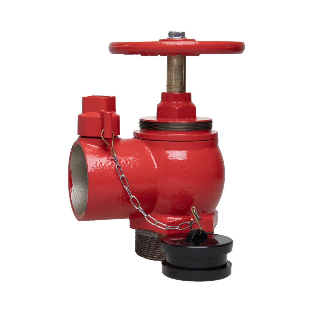 Fire Hydrant Valve R/Angle Cast Iron (65mm)